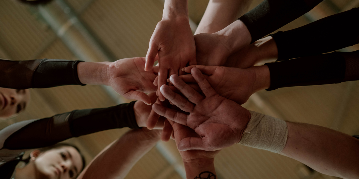 Casi Studio - Integral Transpersonal Institute