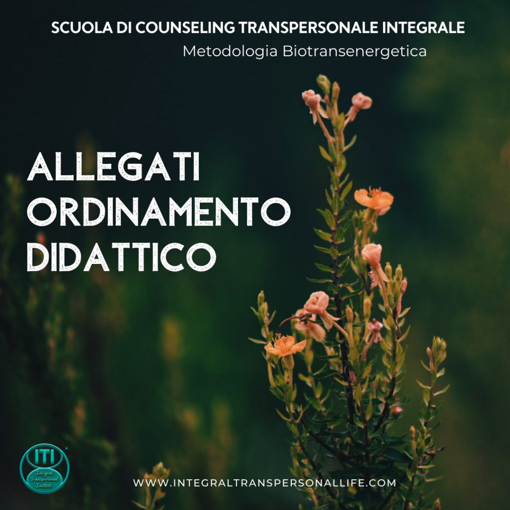 Four-year Training School in Integral Transpersonal Counseling ...