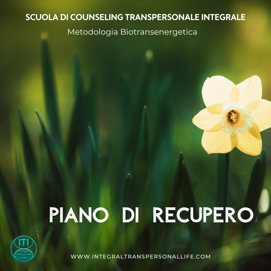 Four-year Training School in Integral Transpersonal Counseling ...